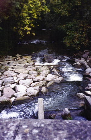 Martha Sue Batt's Visit to Switzerland / October 2000